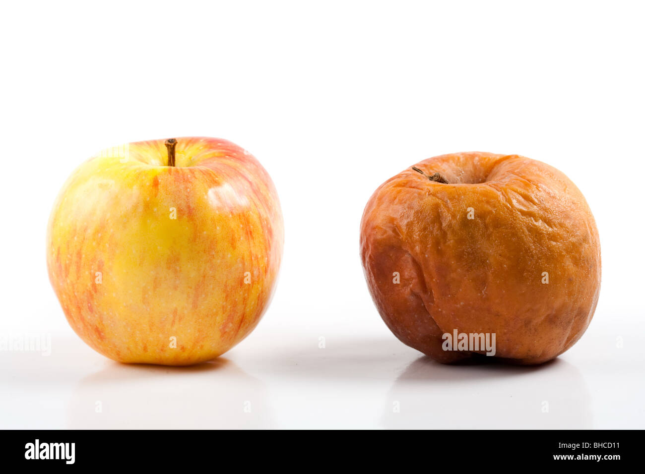 Two apples, one good and one rotten, isolated on white background Stock ...