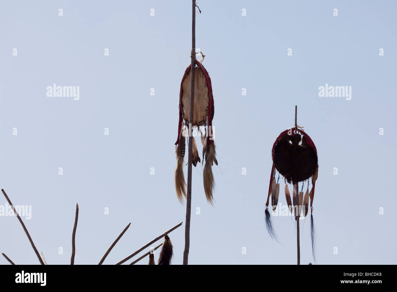 Indian plume hi-res stock photography and images - Alamy