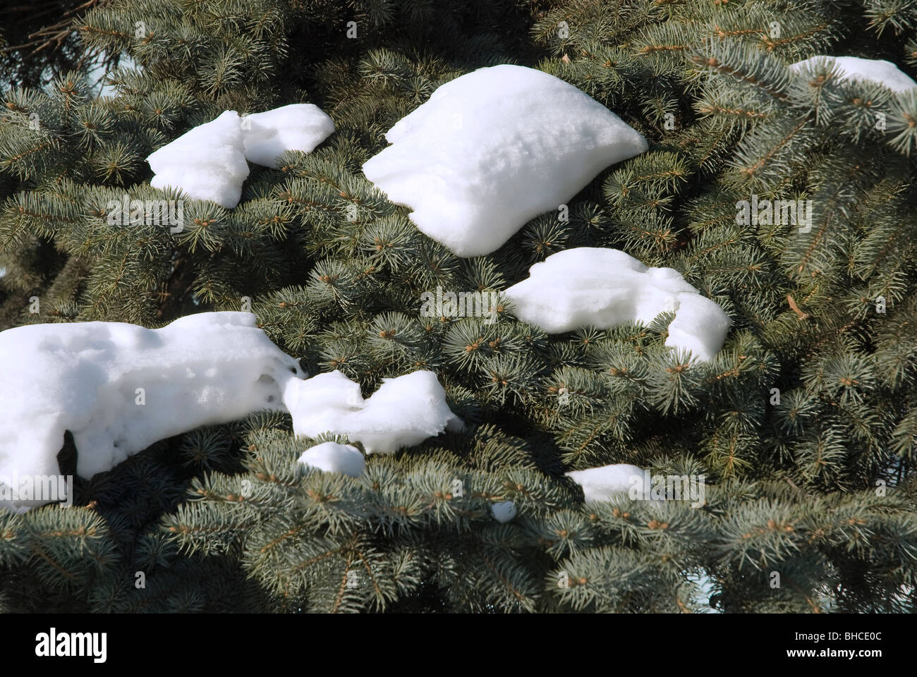 Needle needles hi-res stock photography and images - Alamy
