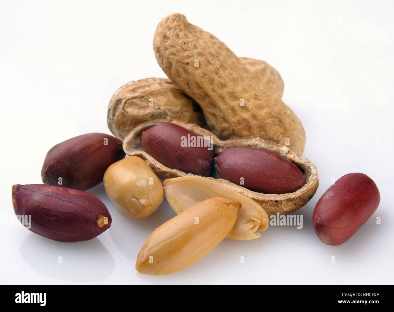 Peanut in a shell and cleared on a white background Stock Photo - Alamy