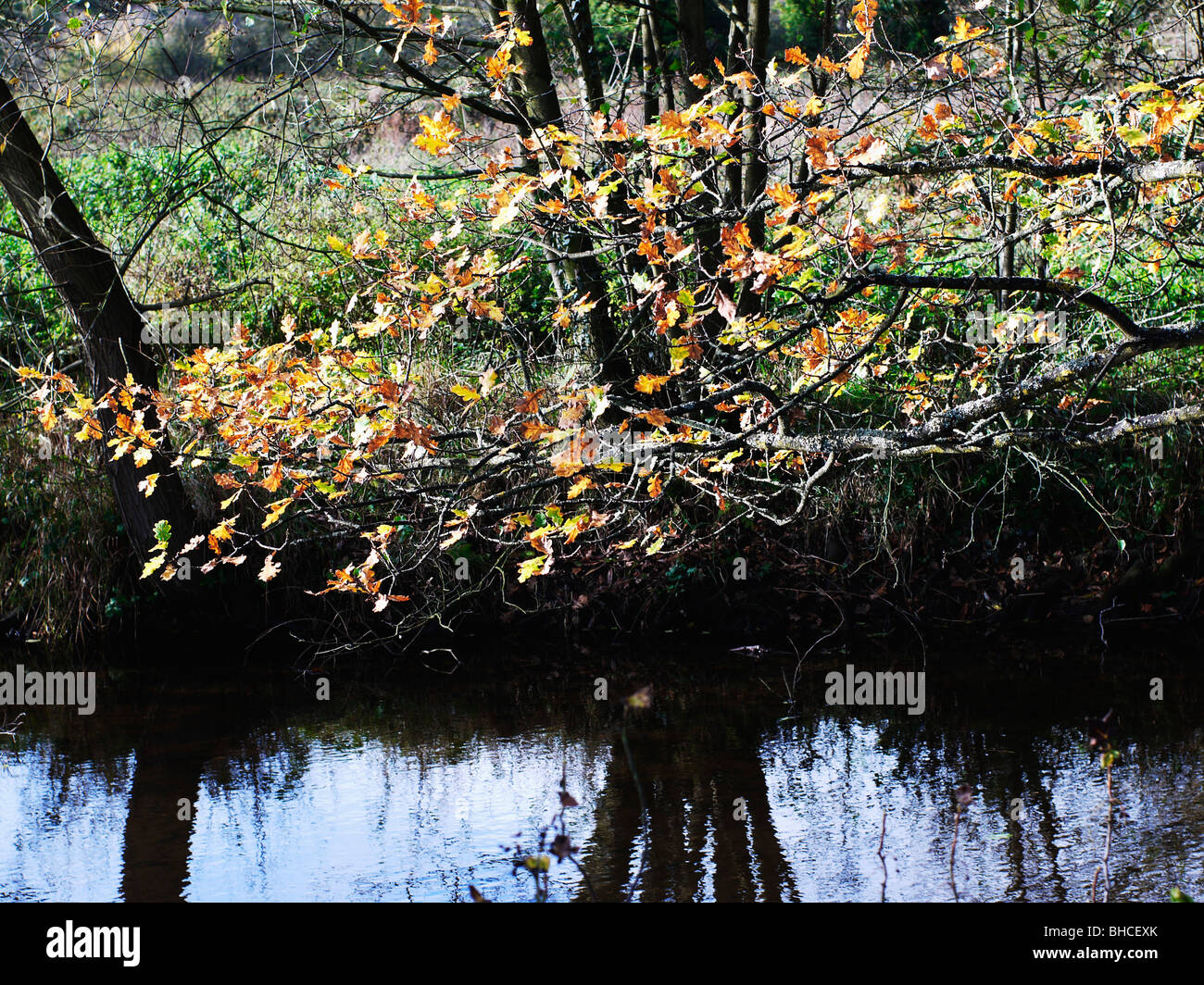 England midlands worcestershire redditch hi-res stock photography and ...