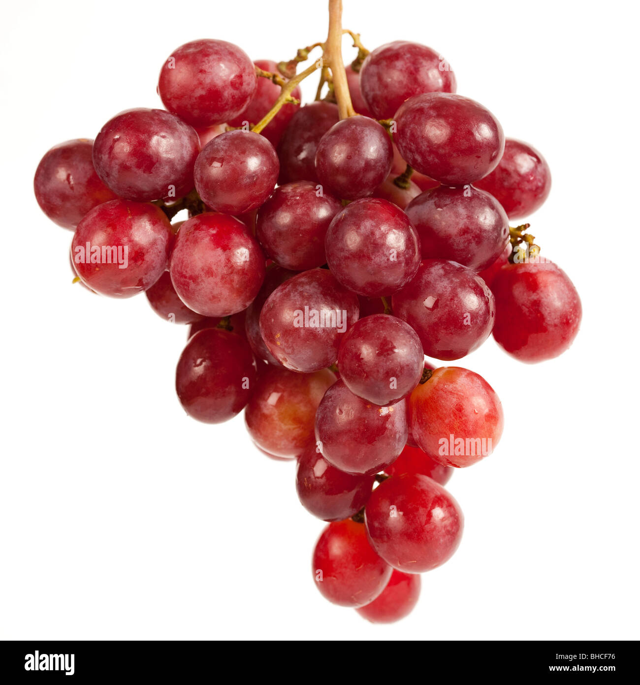 Beautiful winery grapes Cut Out Stock Images & Pictures - Alamy