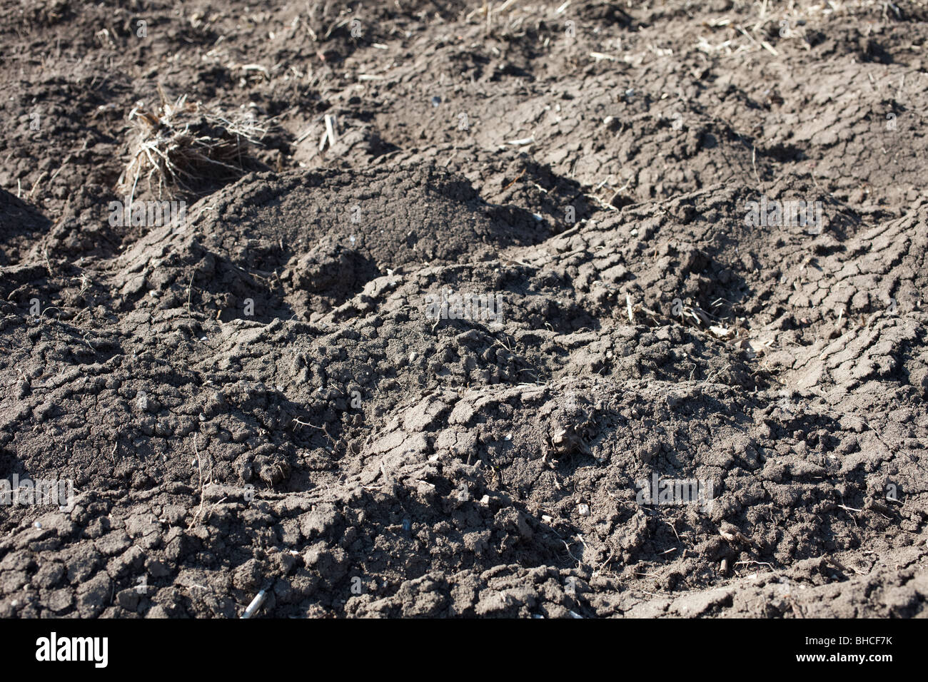 Curt stern hi-res stock photography and images - Alamy