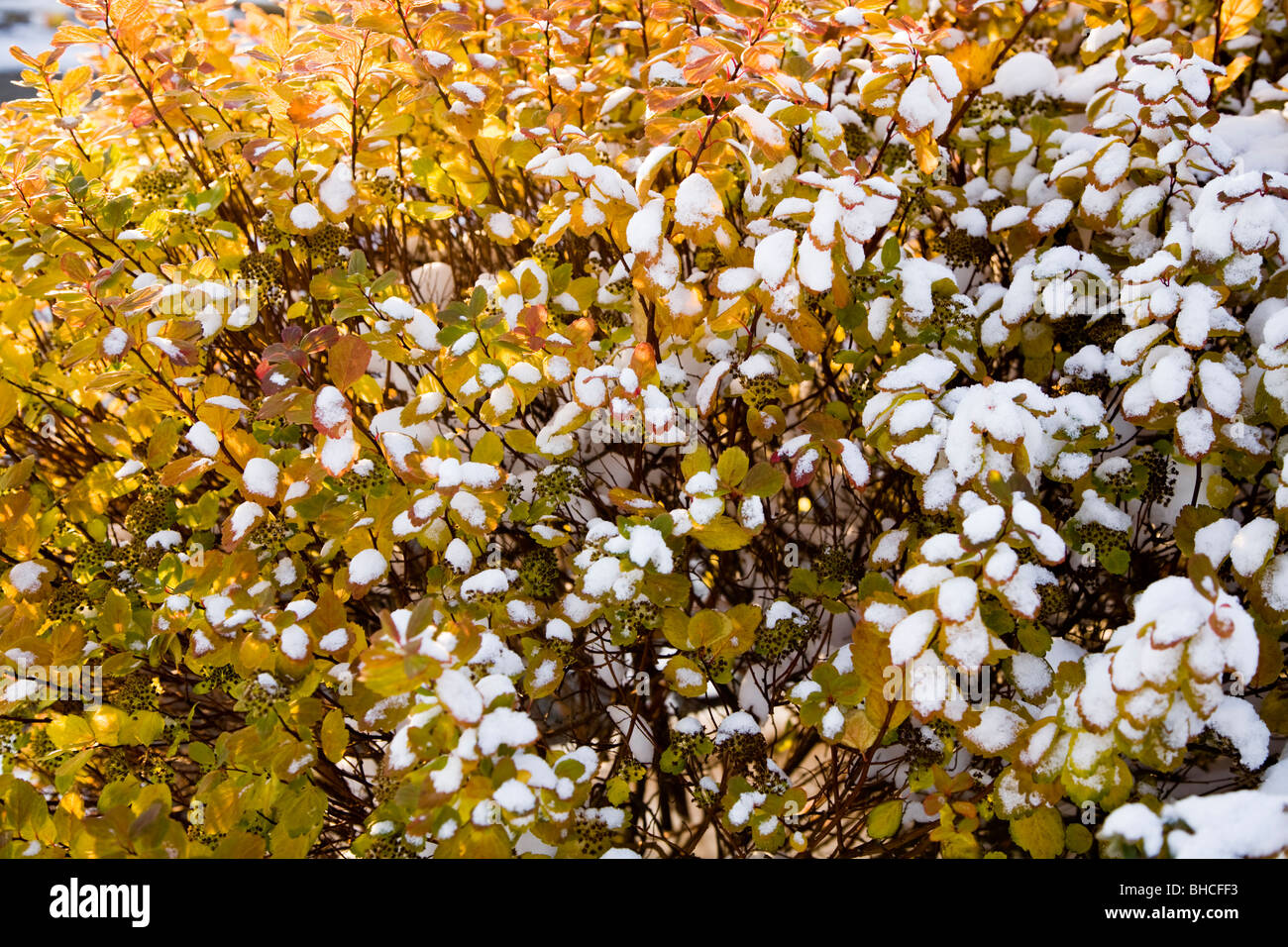 Exterior colours hi-res stock photography and images - Alamy