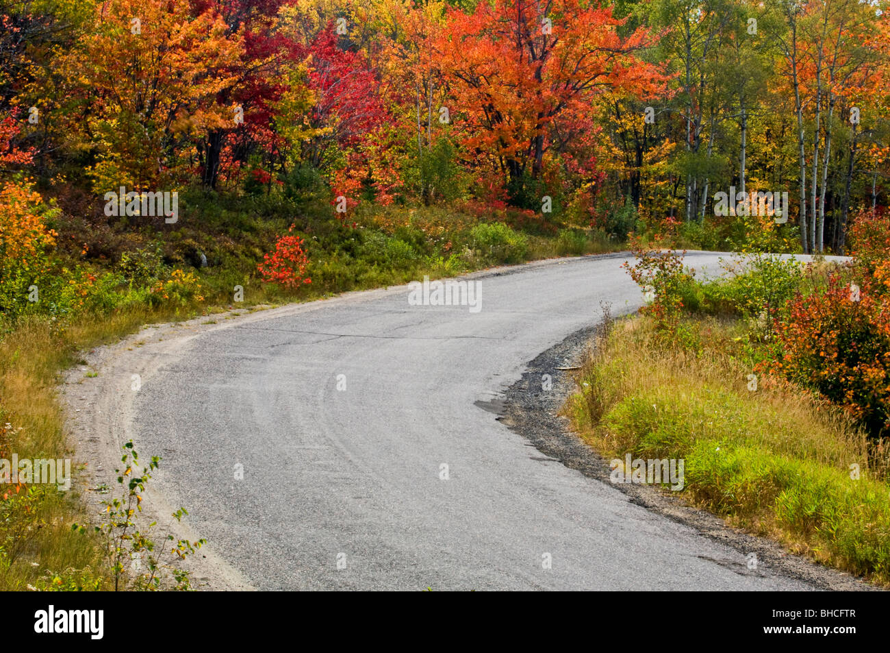 Rural ontario winding roads hi-res stock photography and images - Alamy
