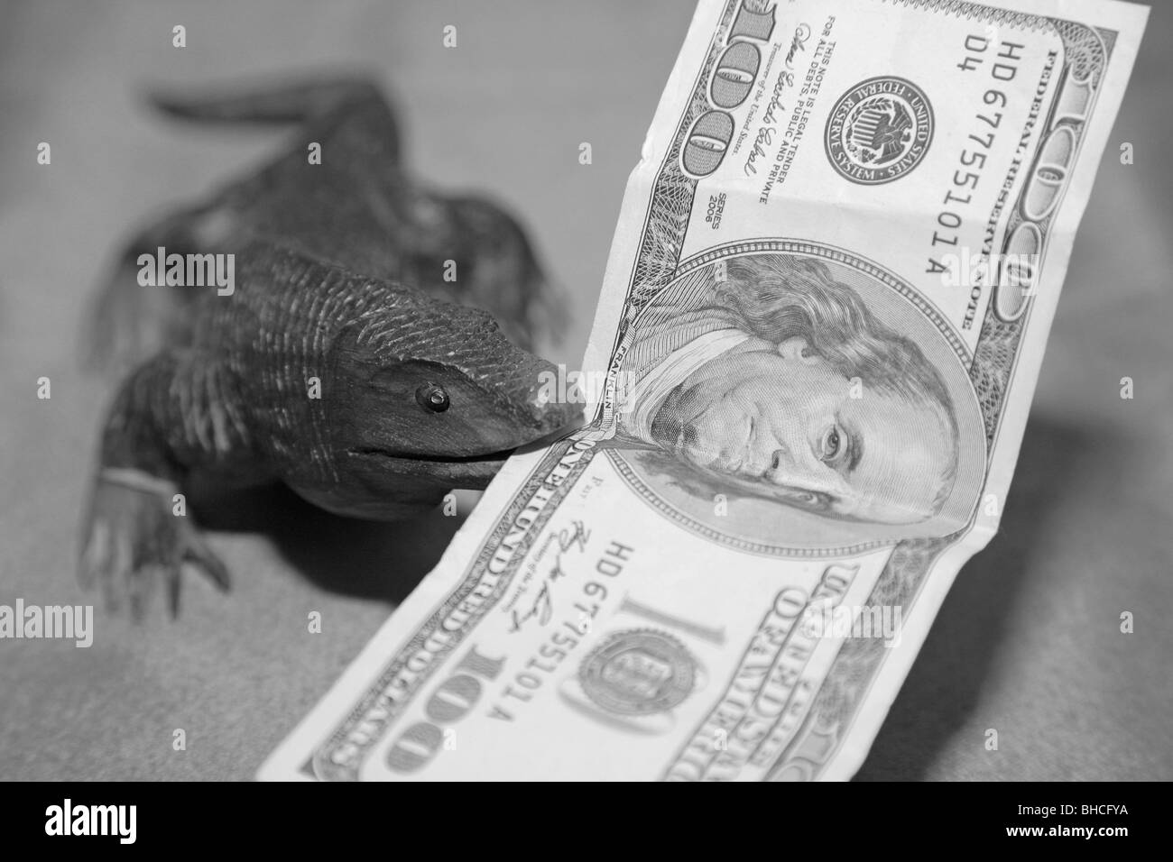 Wooden komodo dragon lizard souvenir carving biting US 100 dollar bill ...