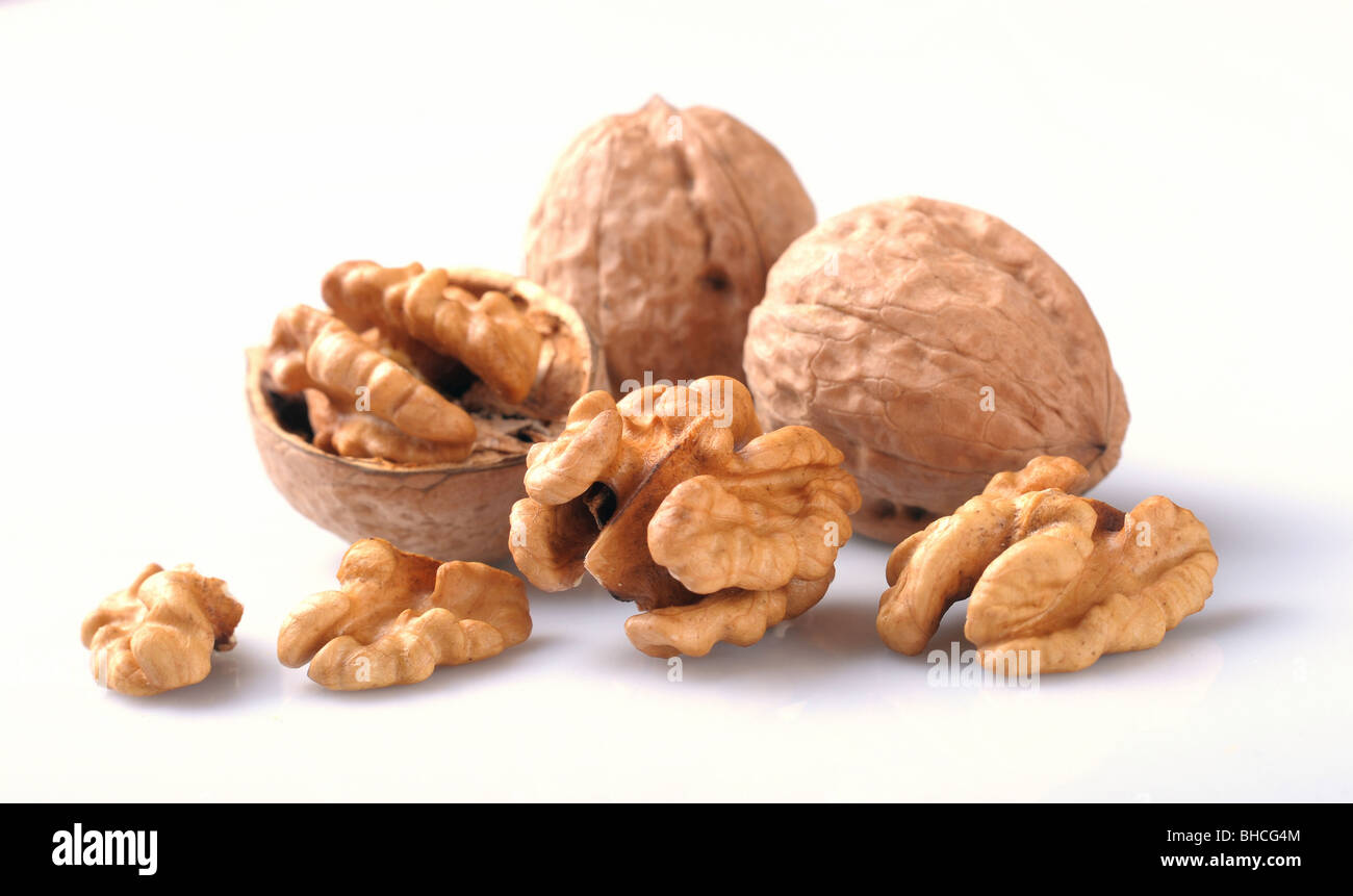 Walnut a shell on a white background Stock Photo - Alamy
