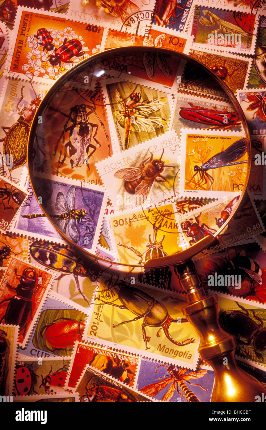 Insect postage stamps and magnifying glass Stock Photo - Alamy