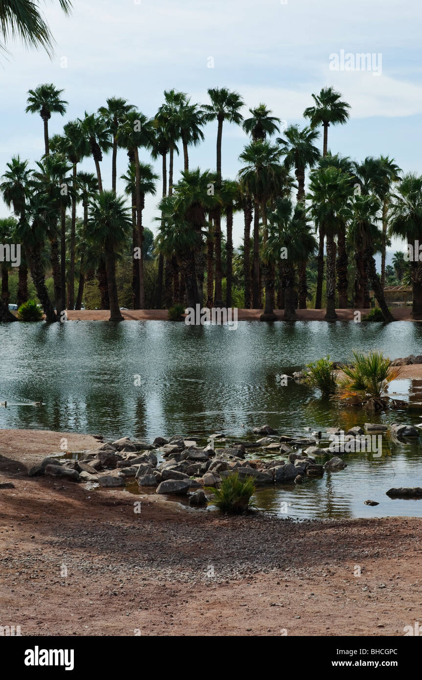 Papago park ponds hi-res stock photography and images - Alamy