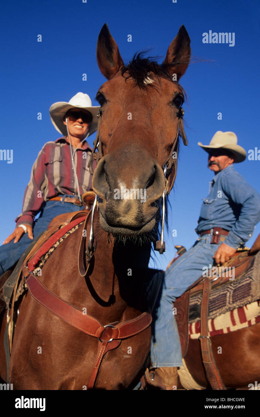 People on horses Stock Photo - Alamy