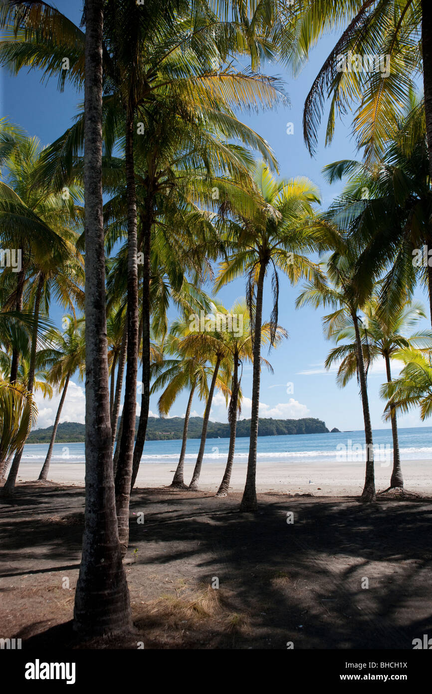 Carillo Beach on the west coast of Costa Rica Stock Photo - Alamy