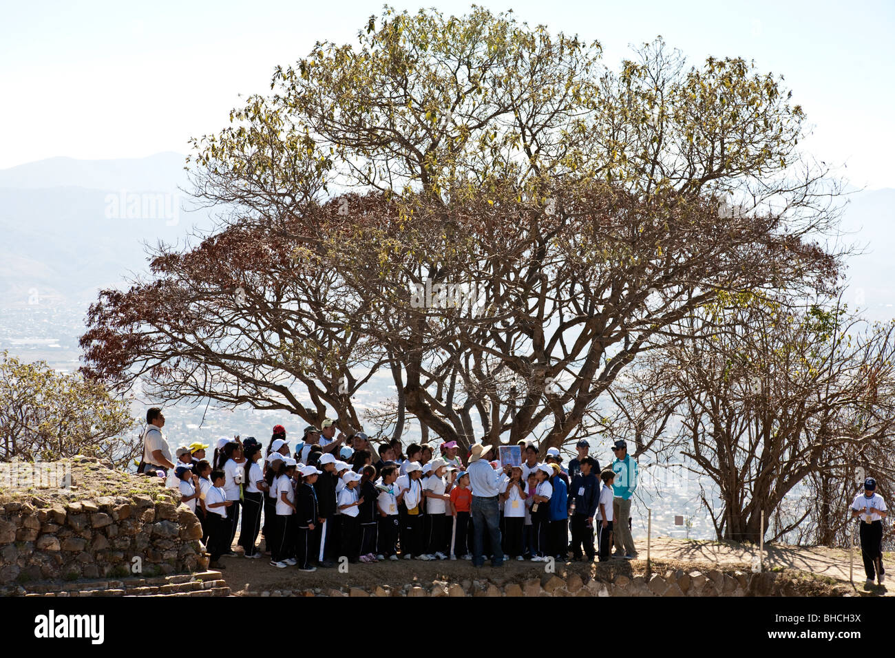School under a tree hi-res stock photography and images - Alamy
