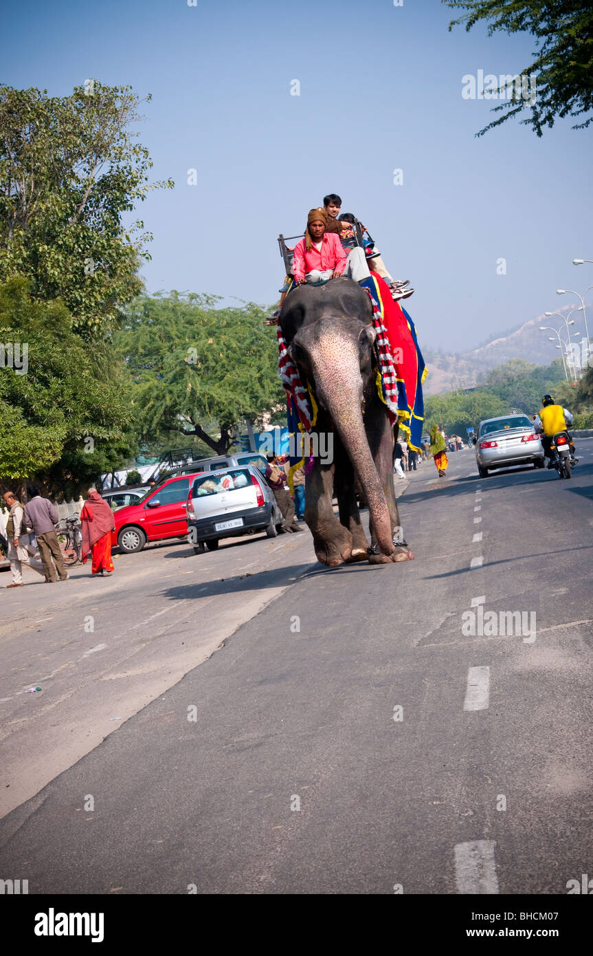 Indian people riding elephant in street, India Stock Photo - Alamy