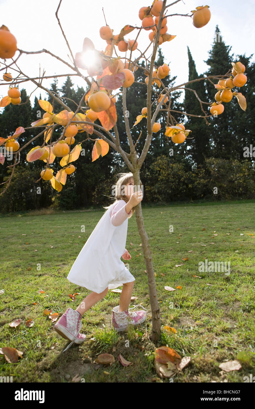 Girl running around tree Stock Photo - Alamy