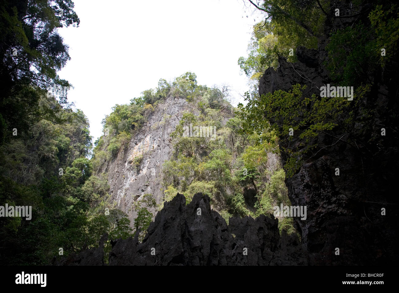 Mangrove Cave opening in the middle of Panak Island Stock Photo - Alamy