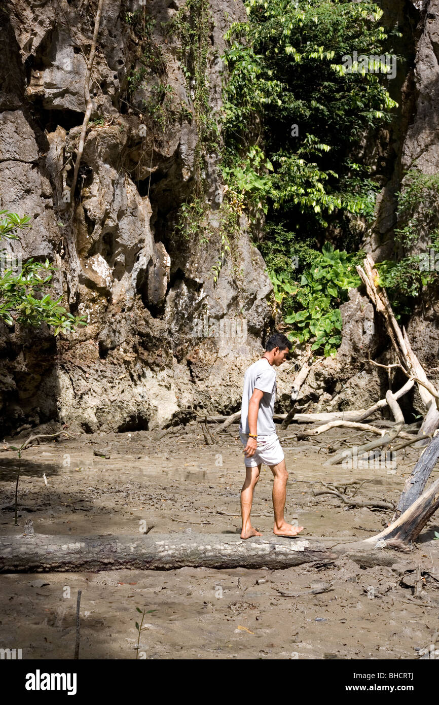 Mangrove Cave opening in the middle of Panak Island Stock Photo - Alamy