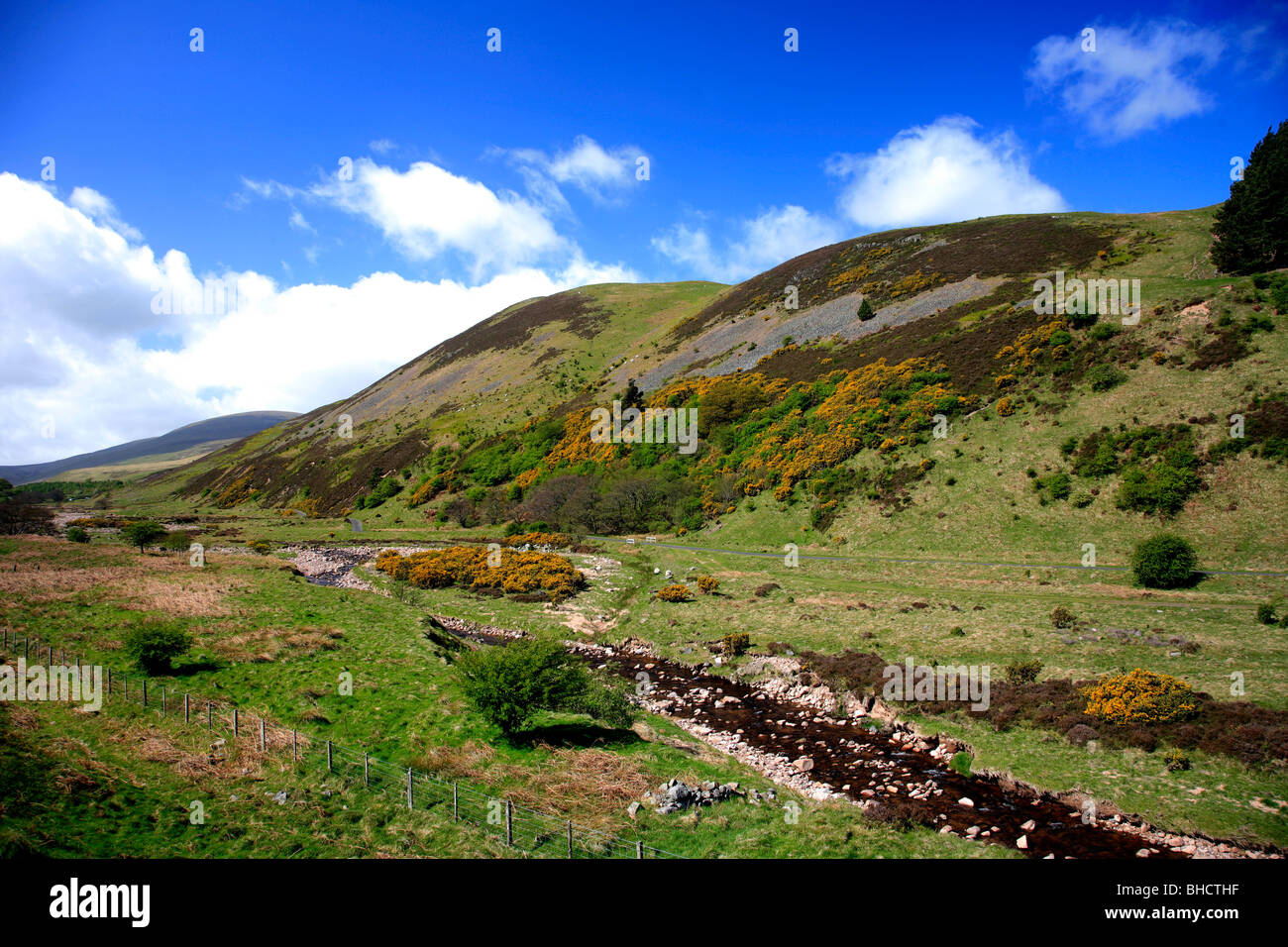 Cheviot hill hi-res stock photography and images - Alamy