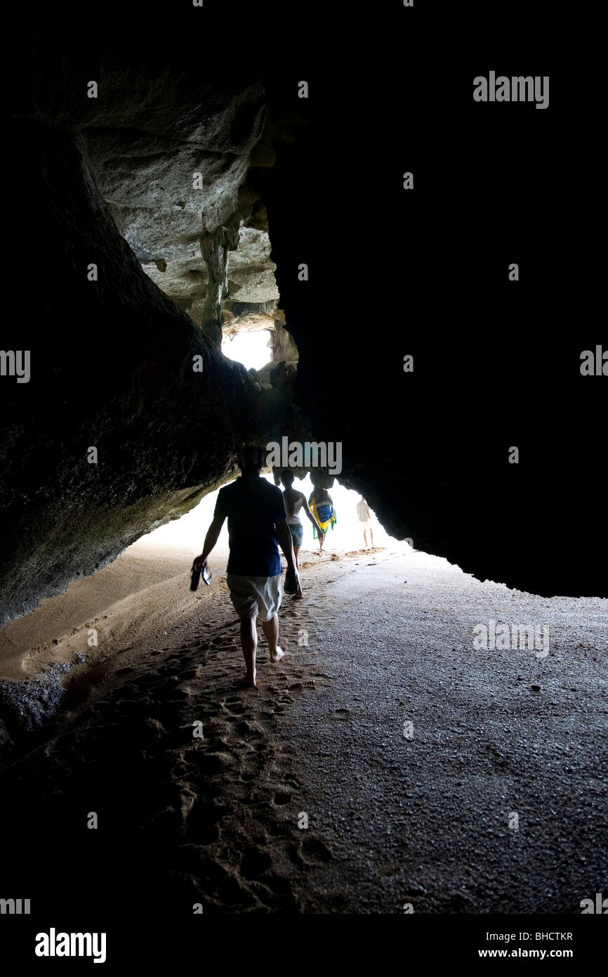 Mangrove cave hi-res stock photography and images - Alamy