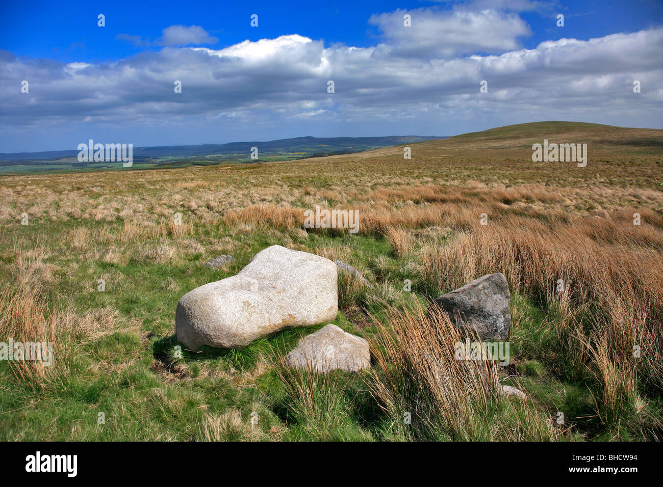 Cheviot Hills North Northumbria England Borders Stock Photo - Alamy