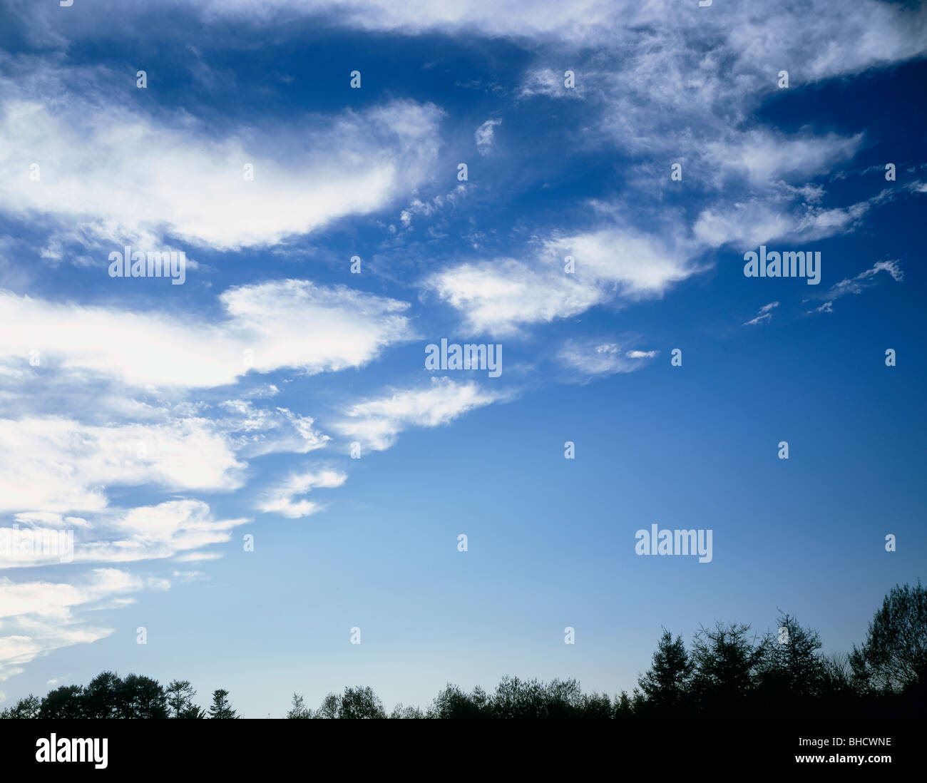 Clouds over treetops. Tsurui, Hokkaido, Japan Stock Photo - Alamy
