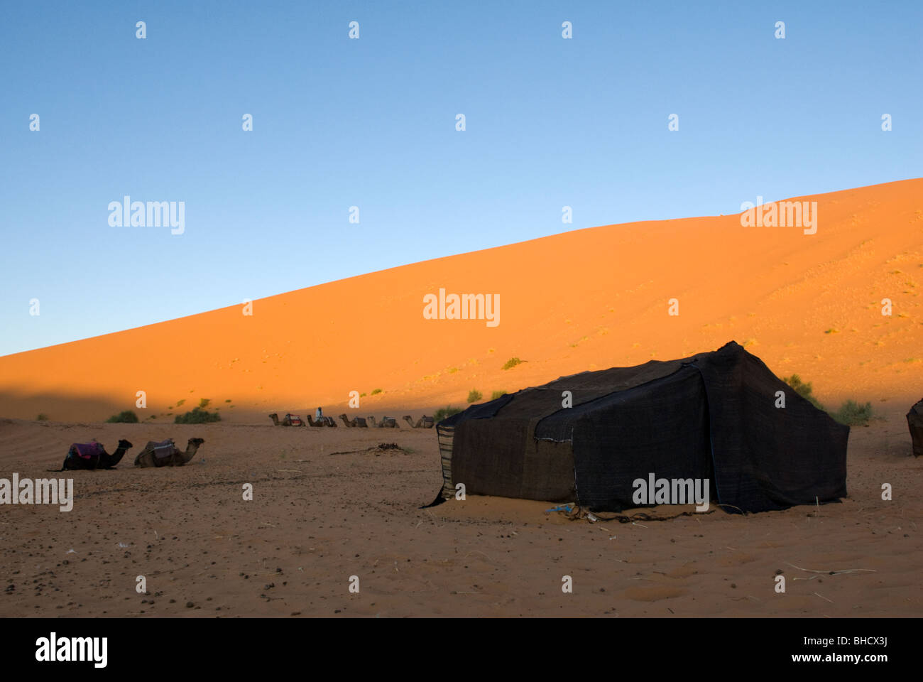 Berber desert hi-res stock photography and images - Alamy