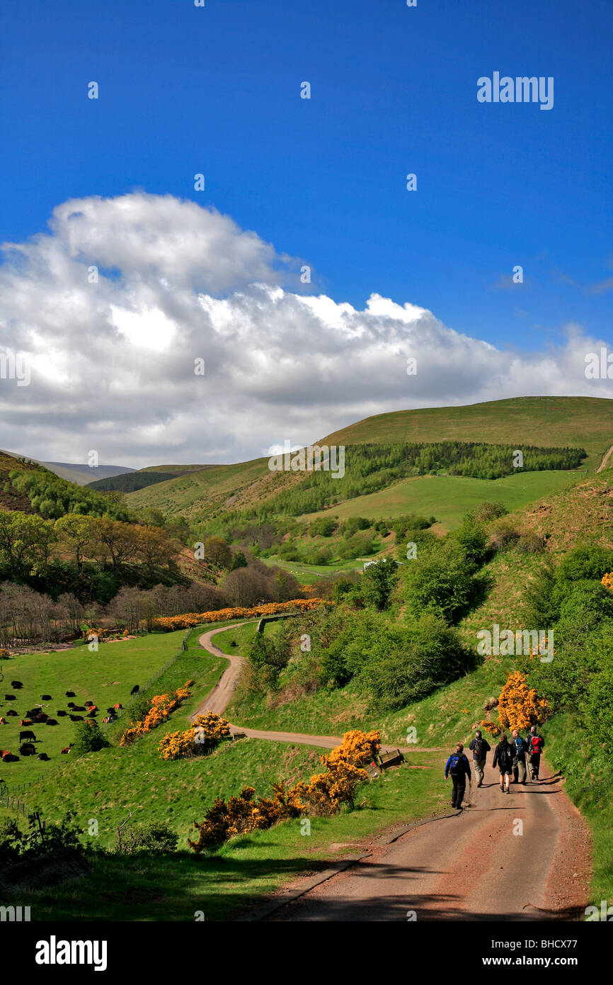 Cheviot hills walkers hi-res stock photography and images - Alamy