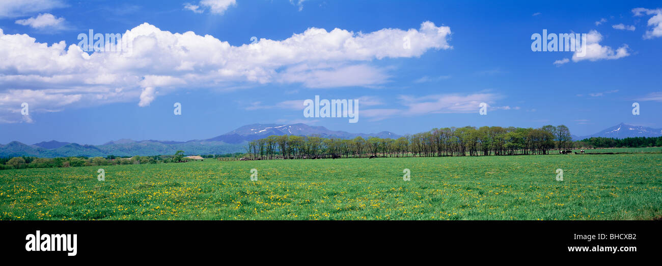 Rural landscape. Shibetsu, Hokkaido Prefecture, Japan Stock Photo - Alamy