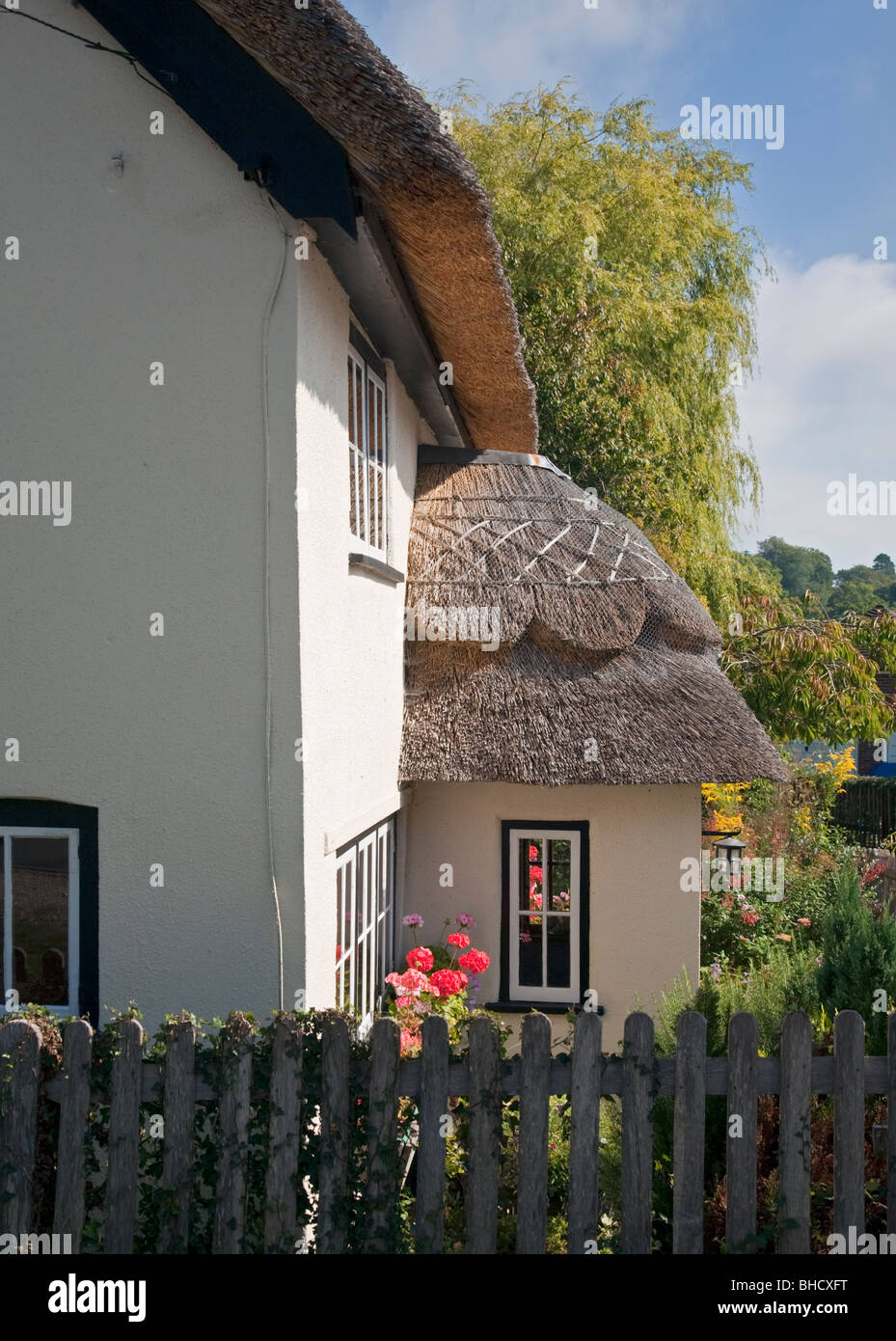 New forest thatched cottages hi-res stock photography and images - Alamy