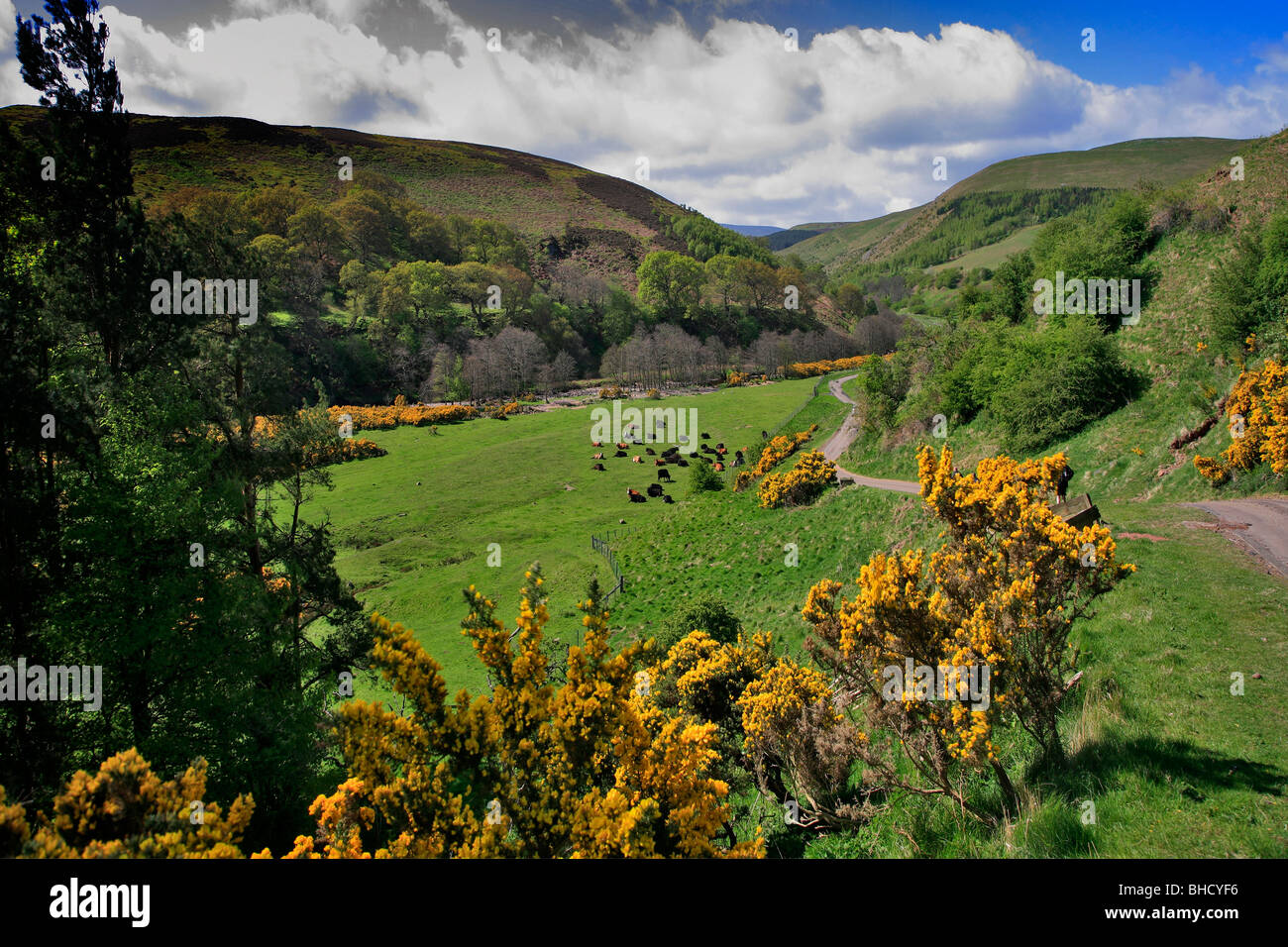 English hill ranges hi-res stock photography and images - Alamy