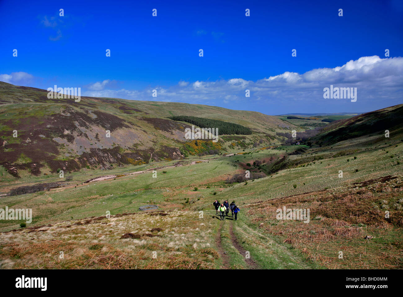 Cheviot hills walkers hi-res stock photography and images - Alamy