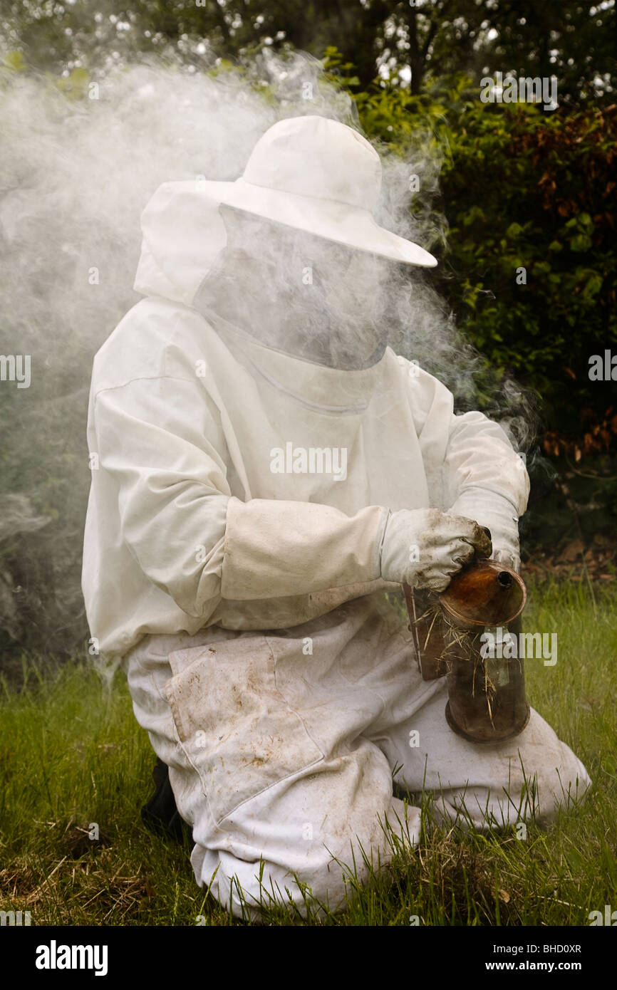 Bee bellows hi-res stock photography and images - Alamy Bee bellows hi-res stock photography and images - Alamy