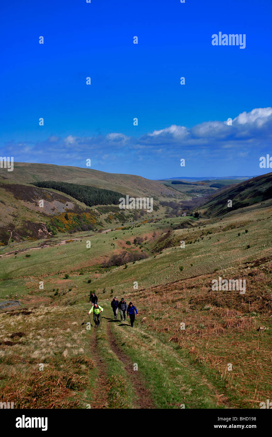 Male Walkers in Landscape Cheviot Hills Northumbria National Park ...