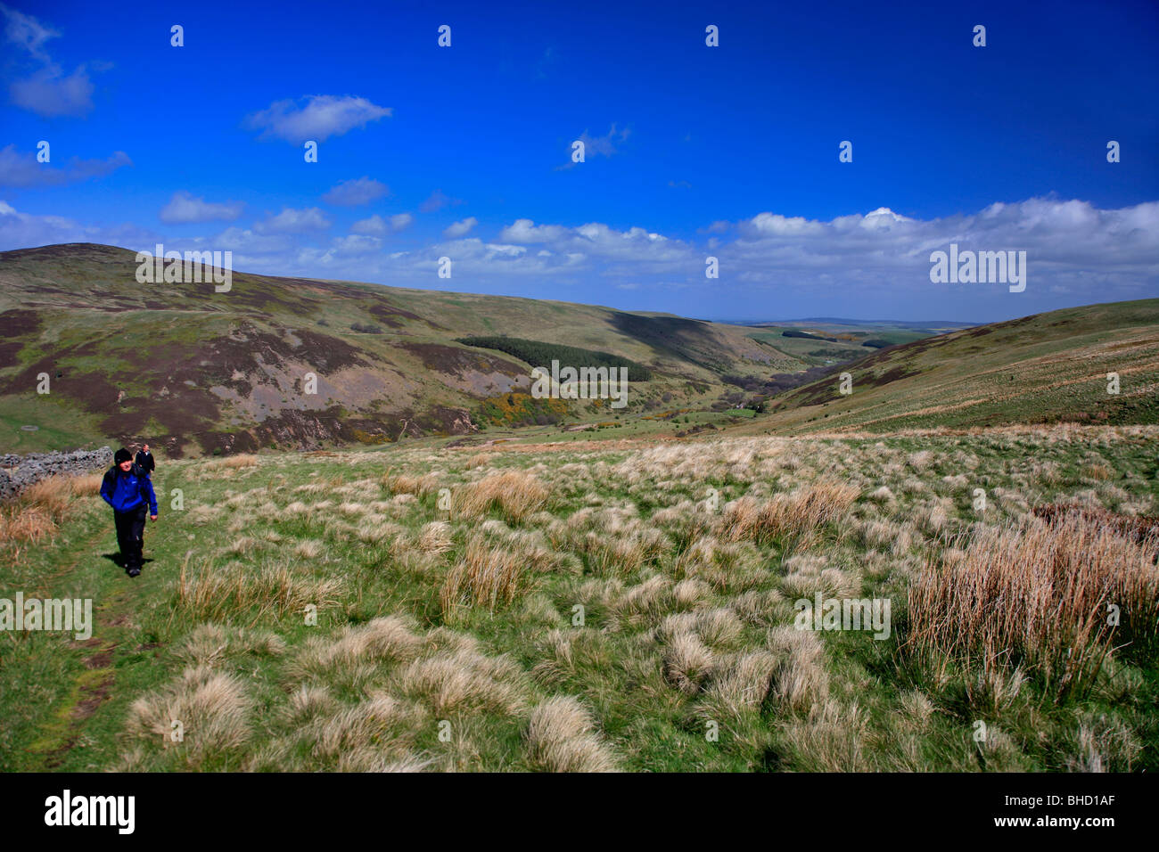 Male Walkers in Landscape Cheviot Hills Northumbria National Park ...