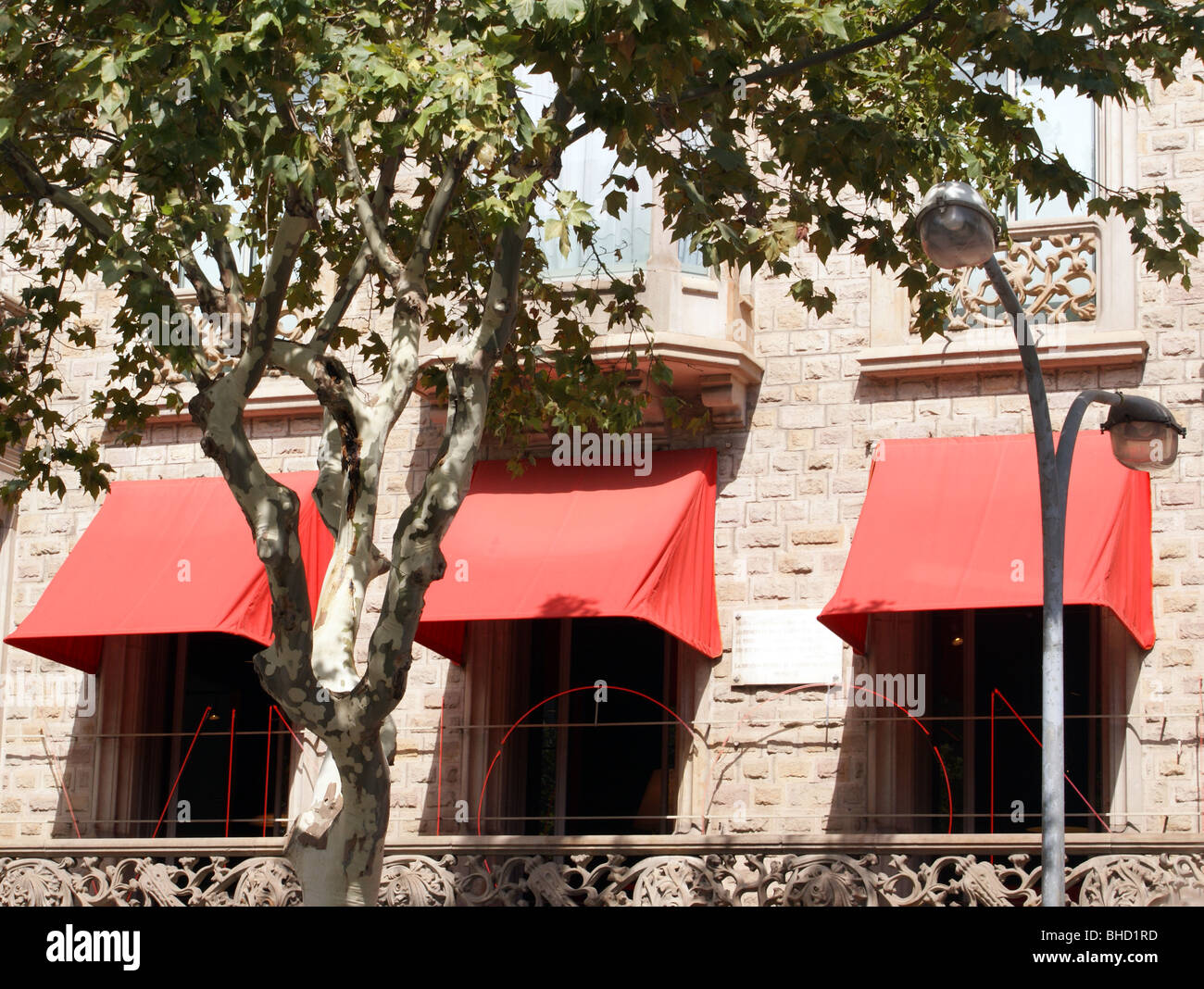 RED CANOPIES AWNINGS WITH TREES AND LAMP Stock Photo - Alamy