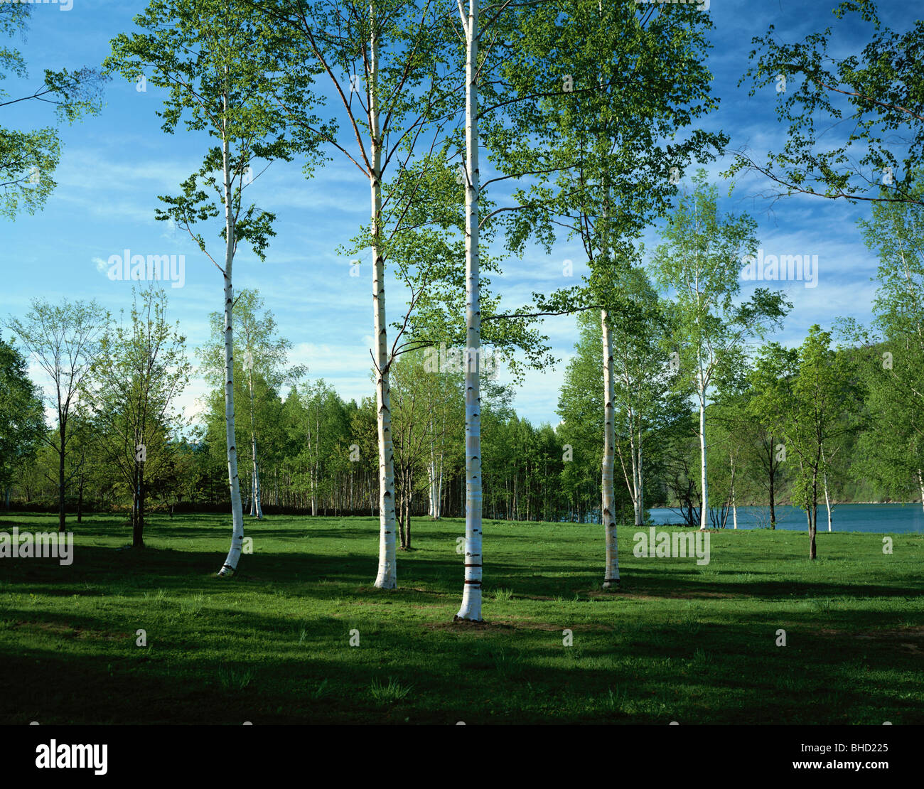 Shibetsu hi-res stock photography and images - Alamy