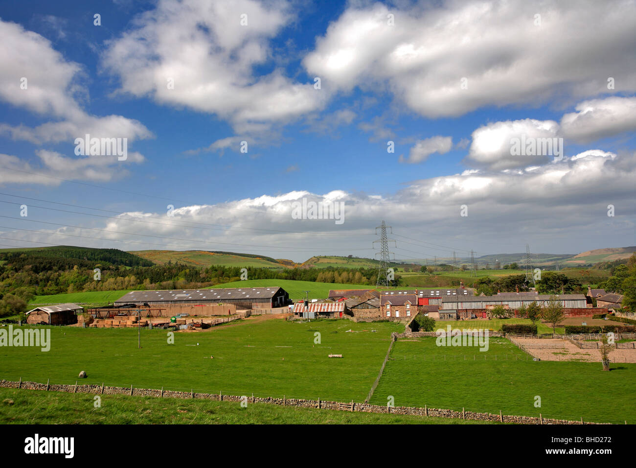 Farm in Landscape Cheviot Hills Northumbria National Park ...