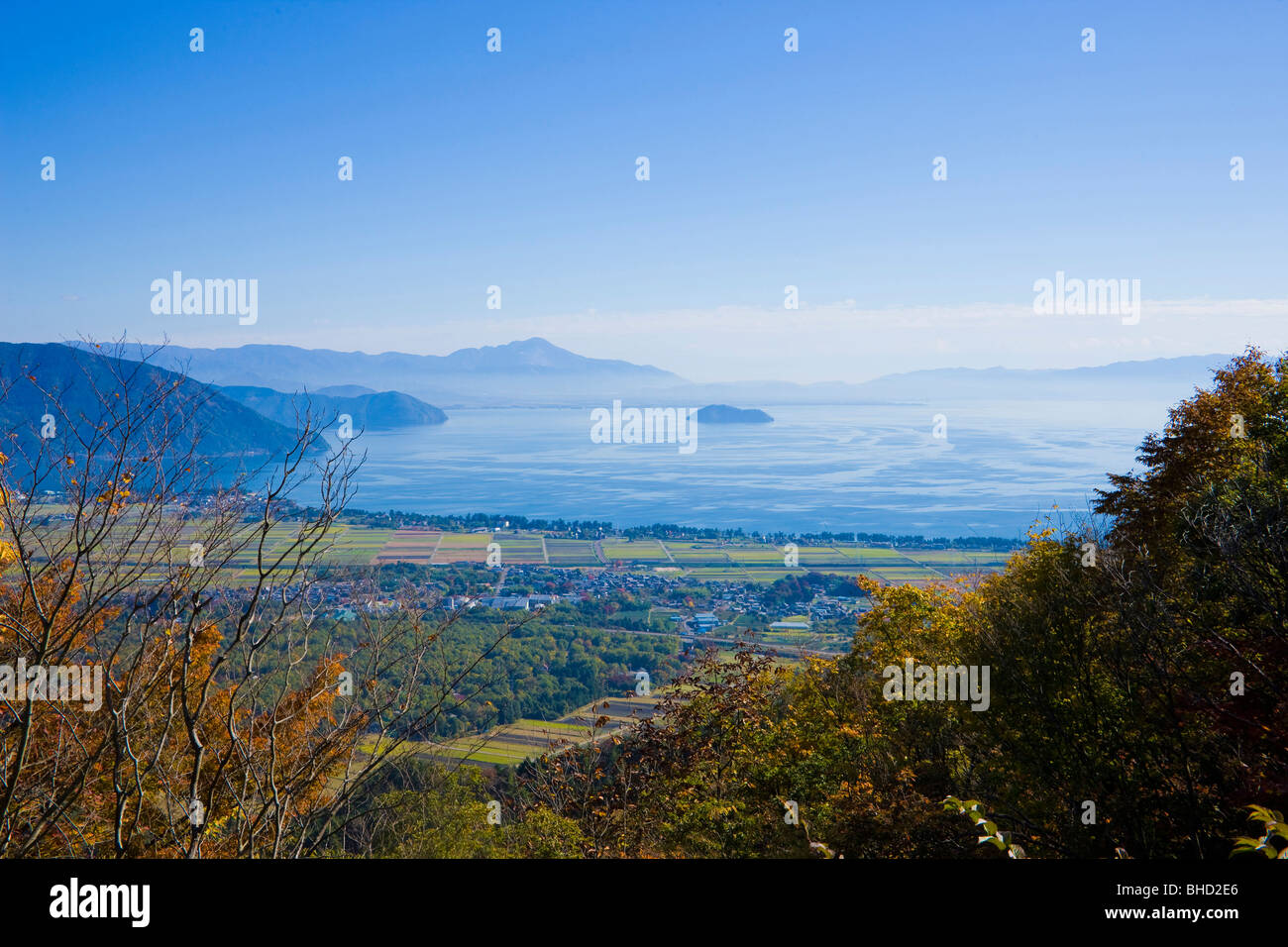 Autumnal forest, Takashima, Shiga Prefecture, Japan Stock Photo - Alamy