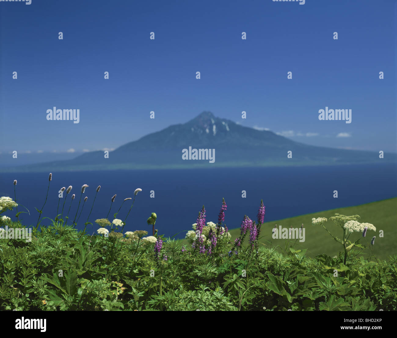 Mt Rishiri, Rebun Island, Hokkaido, Japan Stock Photo - Alamy