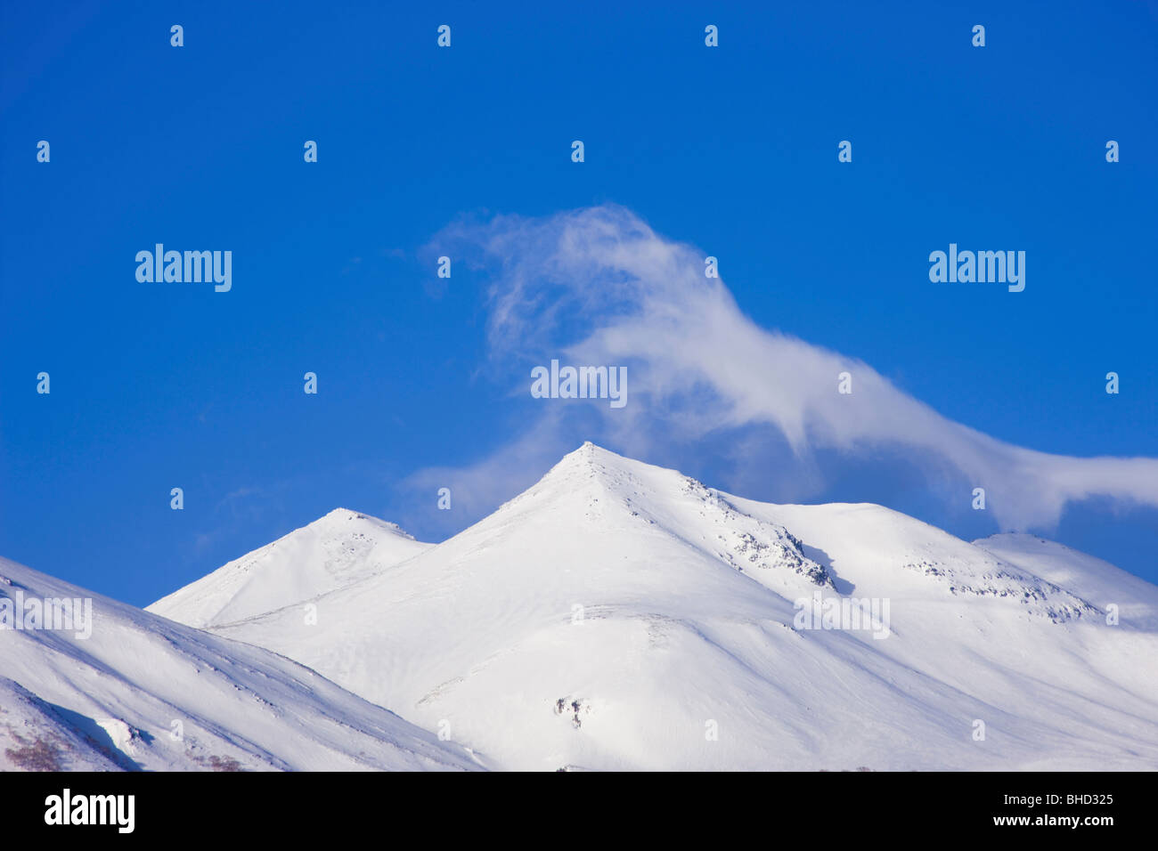 Mt. Norikura covered in snow, Norikura Plateau, Nagano Prefecture ...