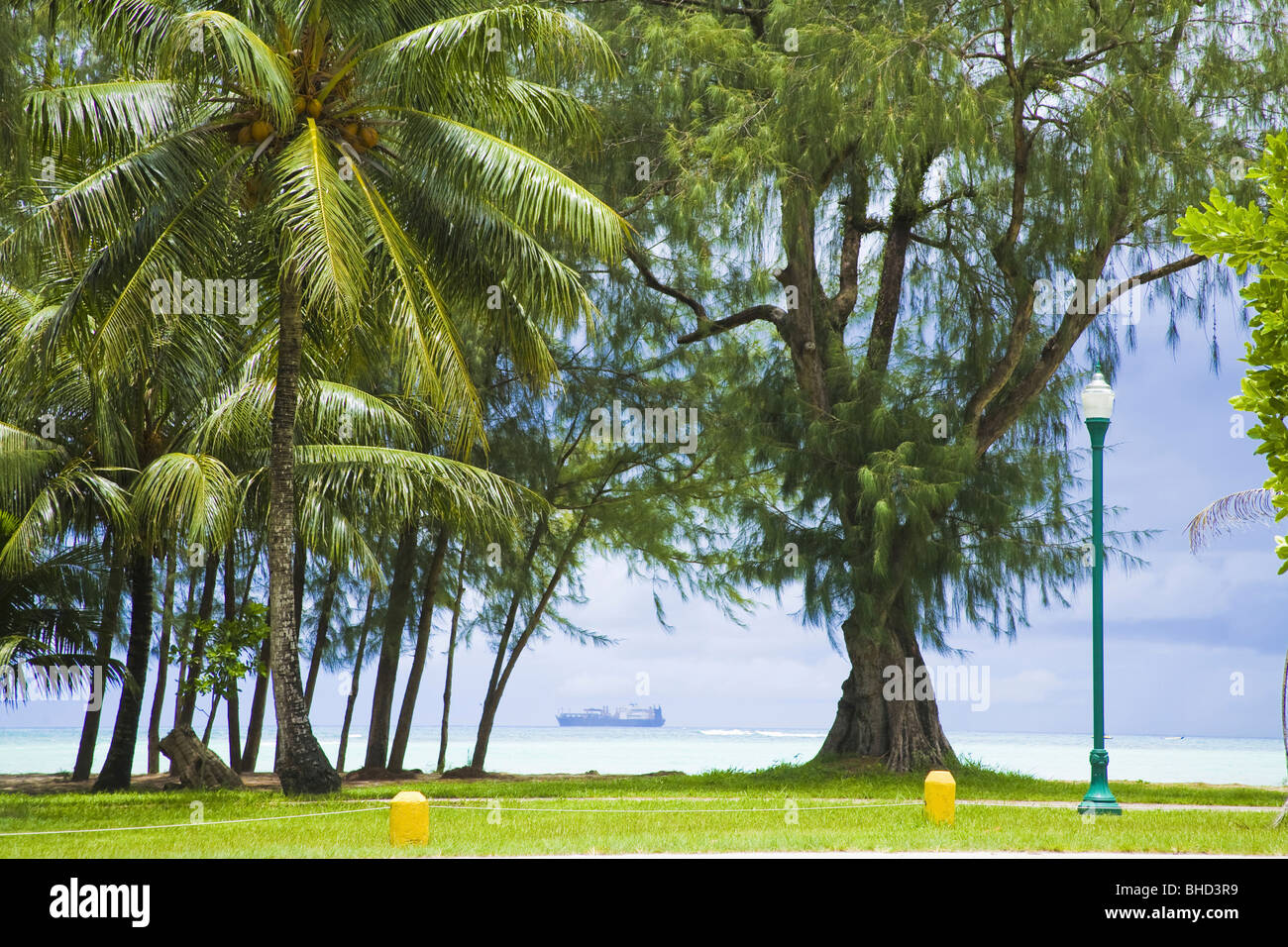 Palm trees by beach, Saipan Island, USA Stock Photo - Alamy