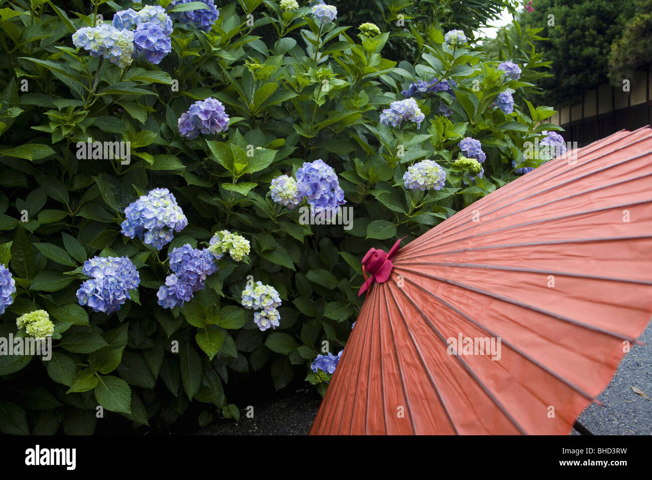 Parasol next hi-res stock photography and images - Alamy