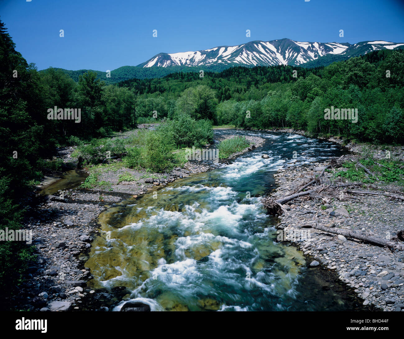Mountain stream, forest and Mt. Taisetsu, Kamikawa, Hokkaido, Japan ...