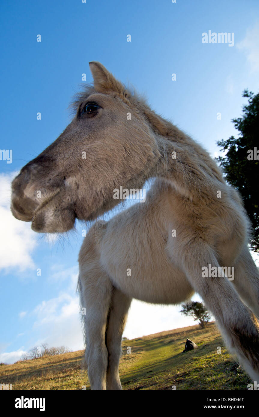 Konic Stock Photos & Konic Stock Images - Alamy