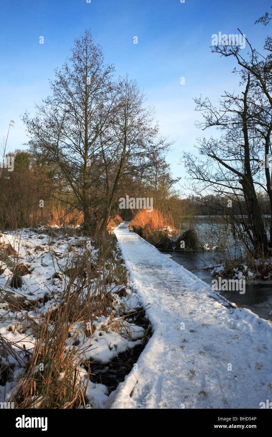 Salhouse Broad Norfolk High Resolution Stock Photography and Images - Alamy