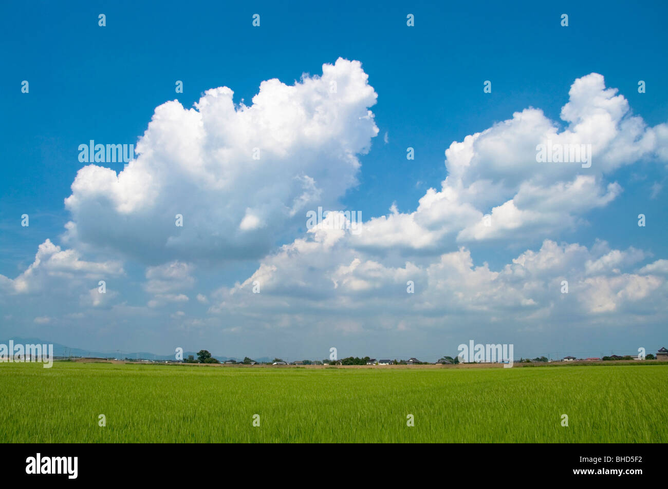 Chikusei japan hi-res stock photography and images - Alamy