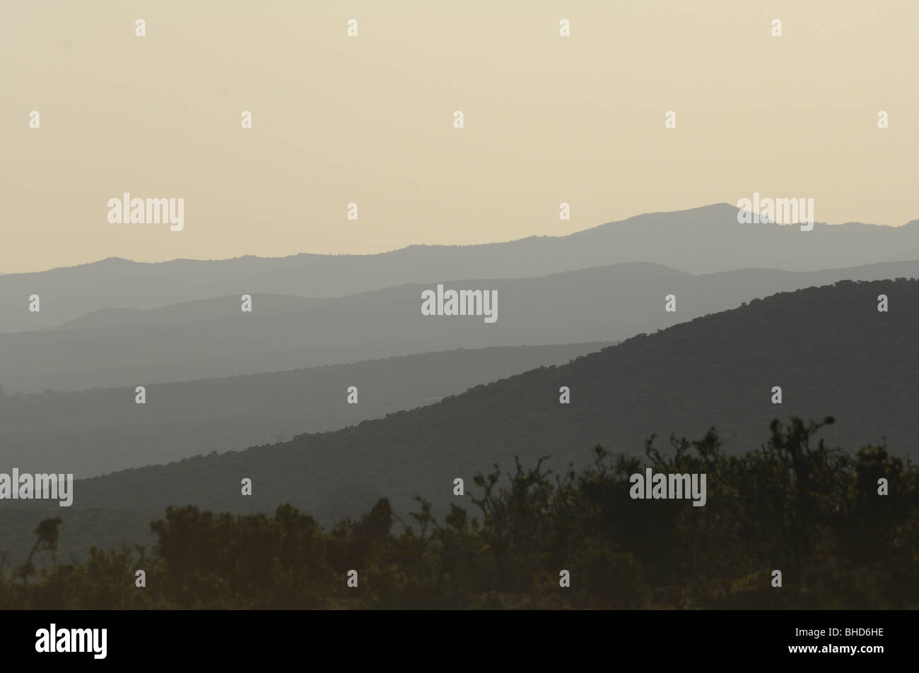 south african bush africa tones receding L Addo Stock Photo - Alamy