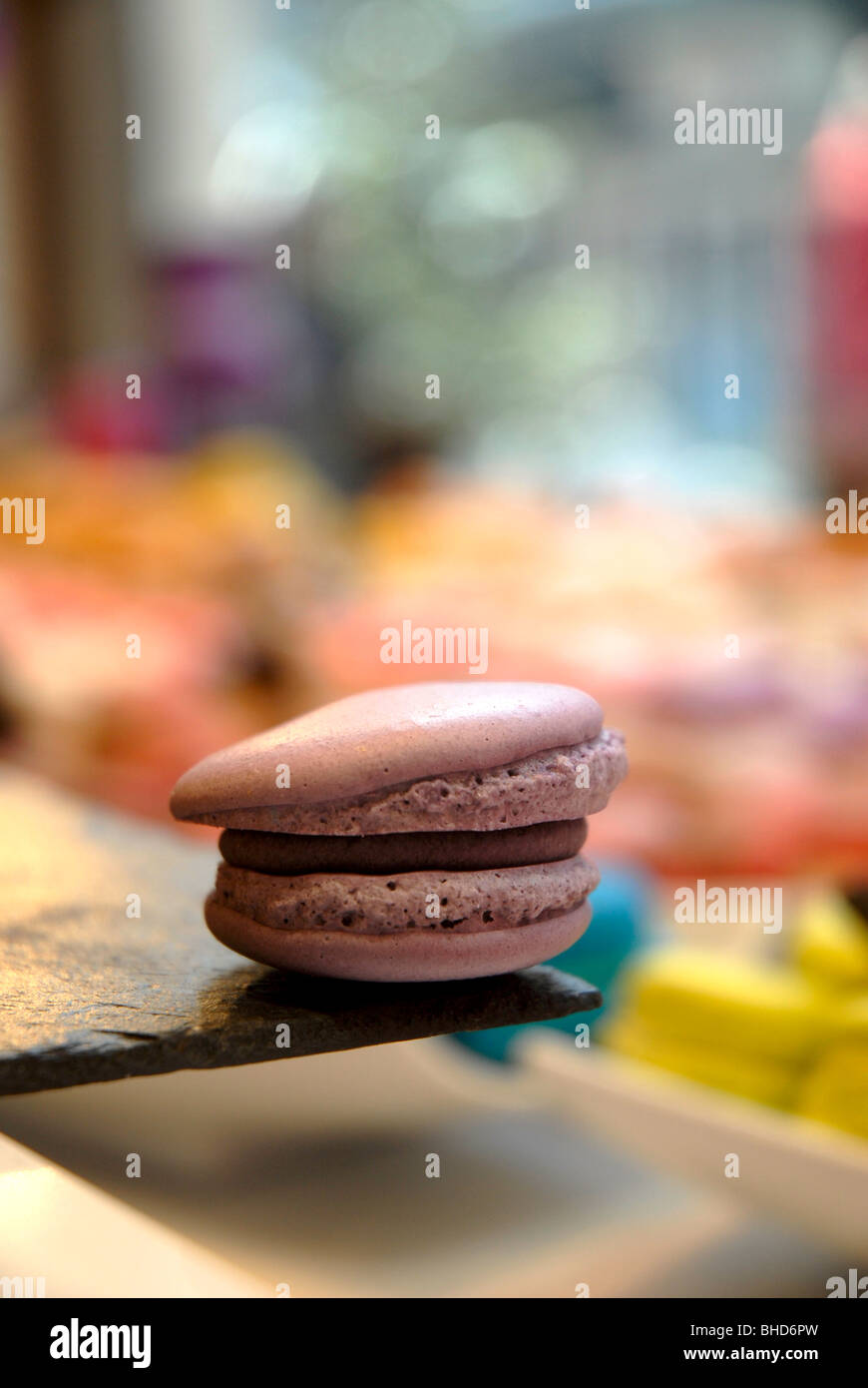 Multi colored Macaroons on display in shop window Stock Photo - Alamy