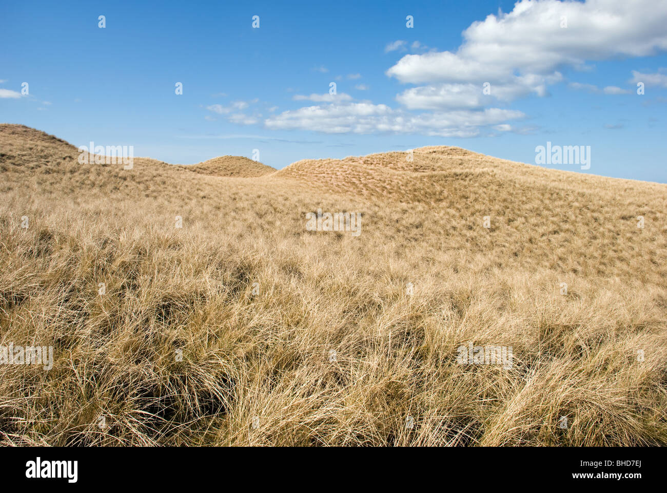 Sand dunes of Sandwood Bay Scotland taken on sunny day with blue sky ...