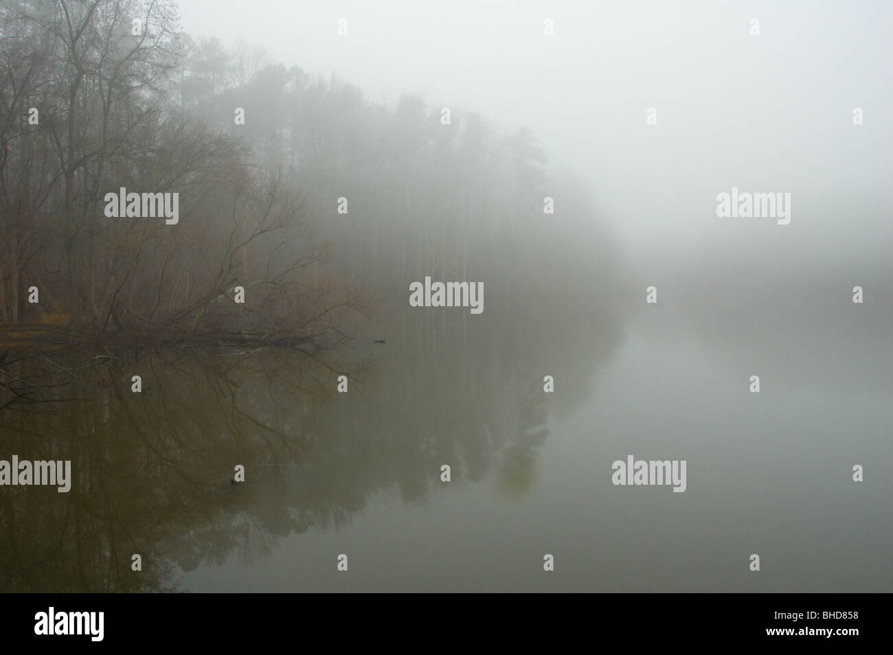Foggy January morning in North Carolina Stock Photo - Alamy