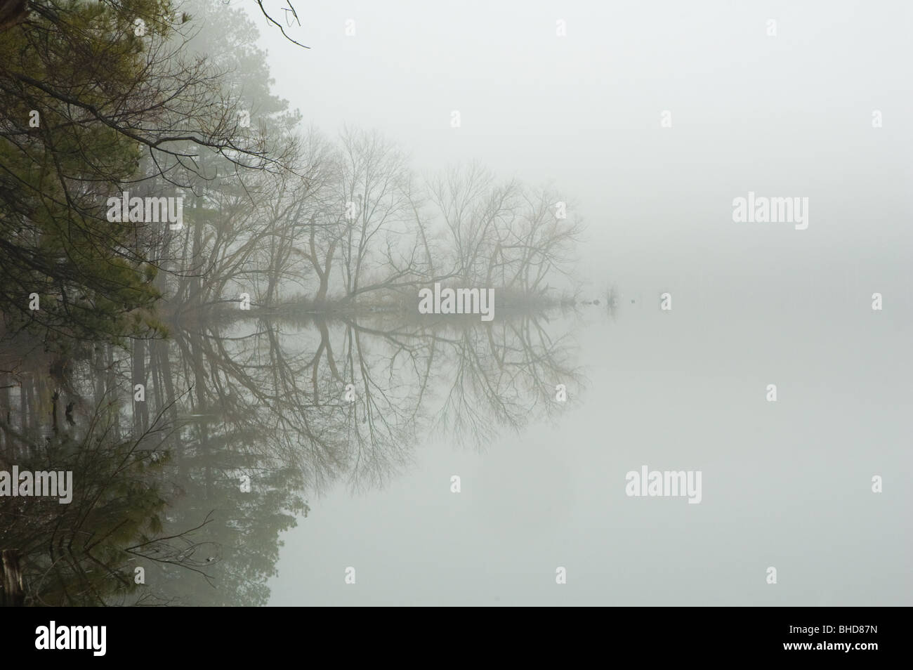 Foggy January morning in North Carolina Stock Photo - Alamy